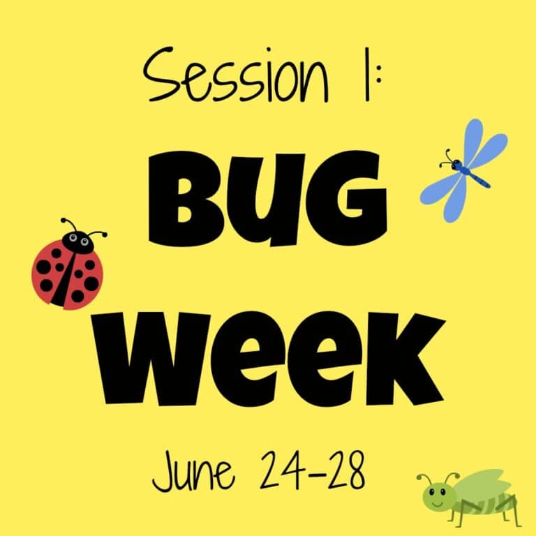 Bug Week {Playful Learning Activities for Kids} - Toddler Approved