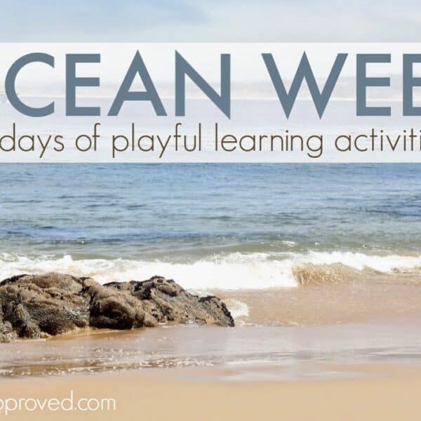 Sticky Ocean Animals - Toddler Approved