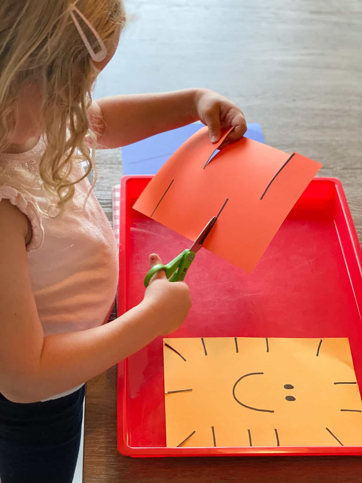 Simple Cutting Tray- Preschool Scissor Skills Activity - Toddler Approved