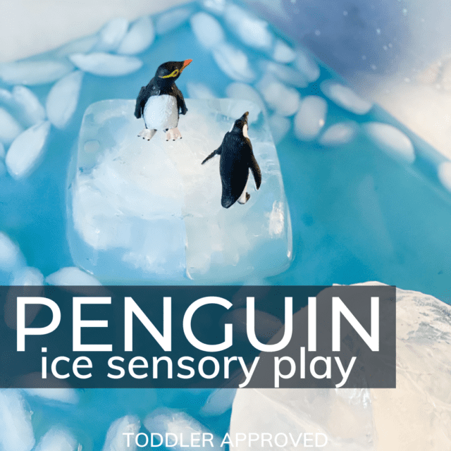 Penguin Ice Sensory Play - Toddler Approved