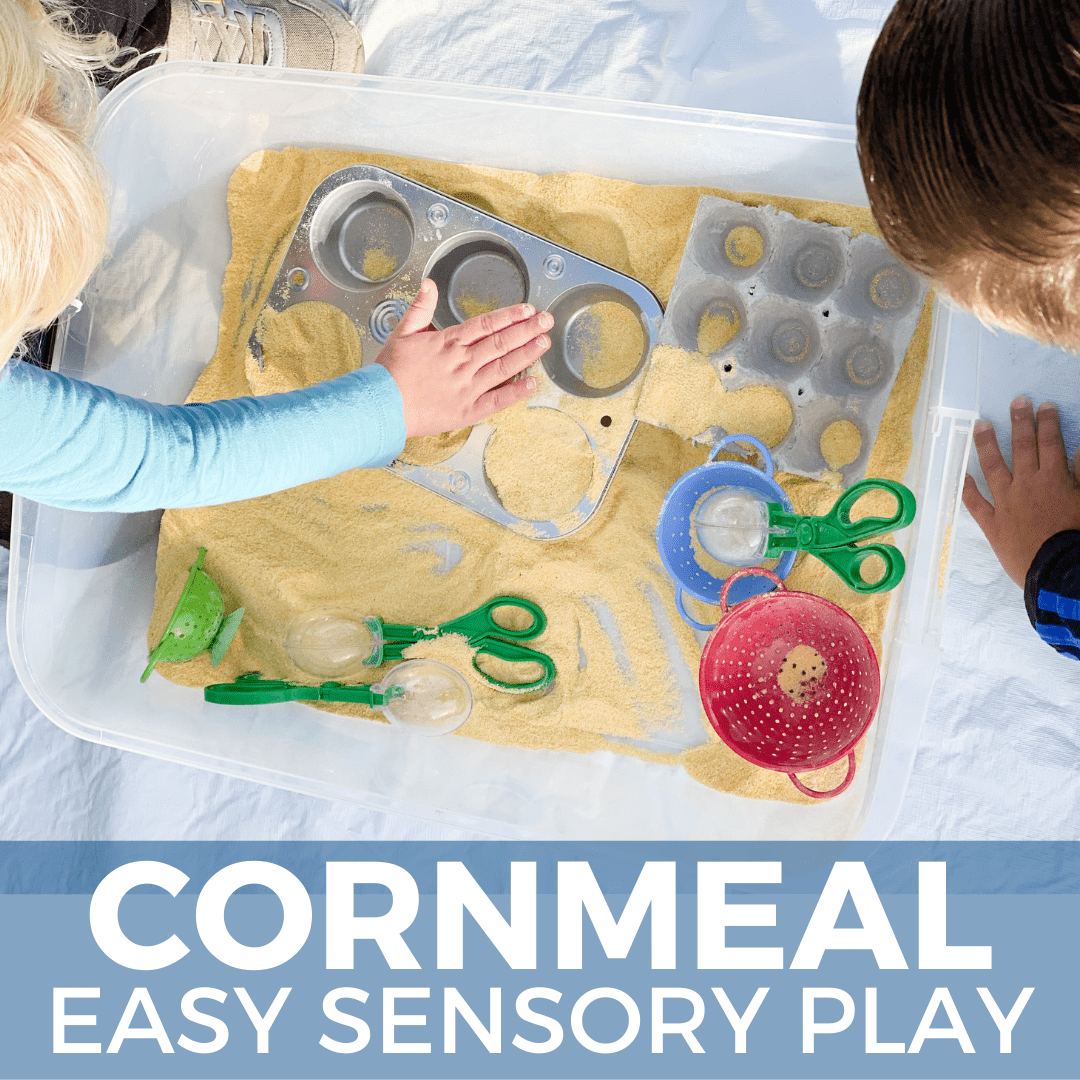 Cornmeal Sensory Bin for Kids - Toddler Approved