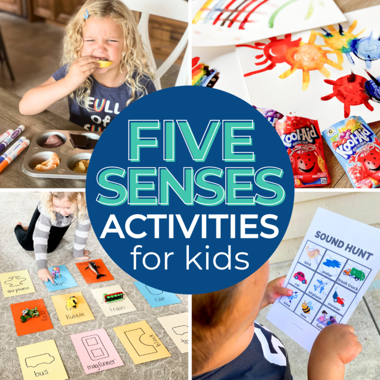 Low Prep 5 Senses Activities for Preschool