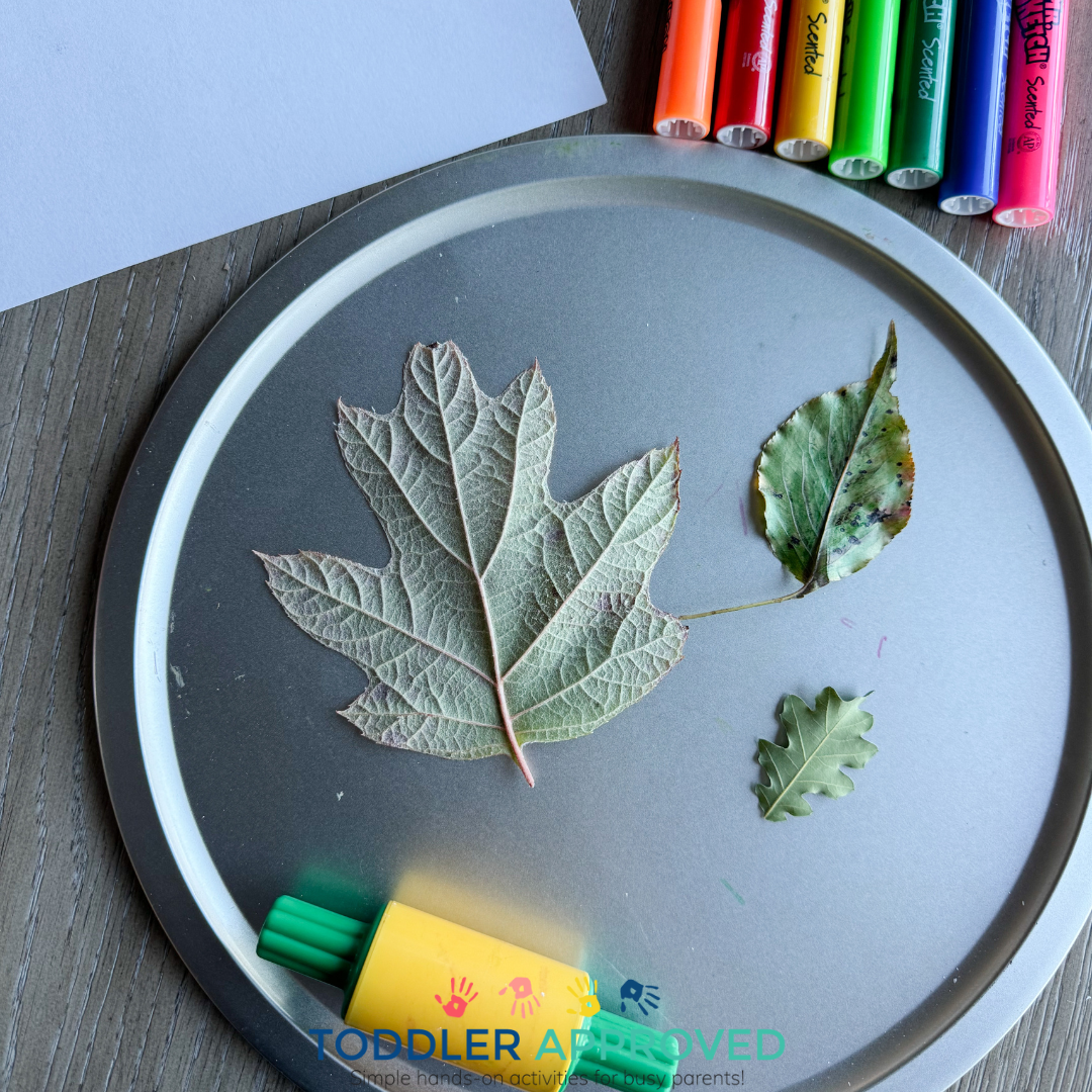 Leaf Prints for Kids - Toddler Approved