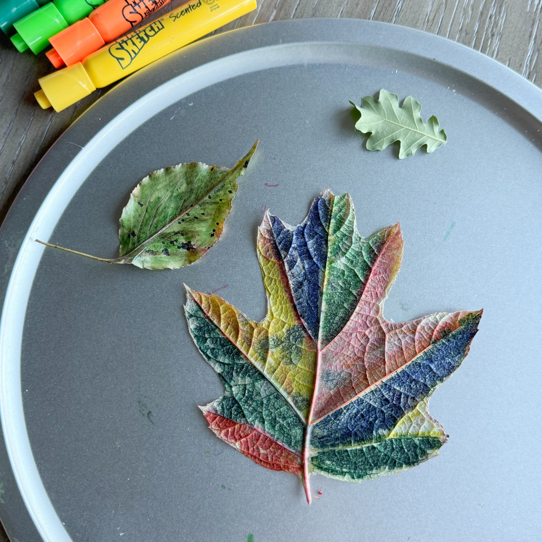 Leaf Prints for Kids - Toddler Approved